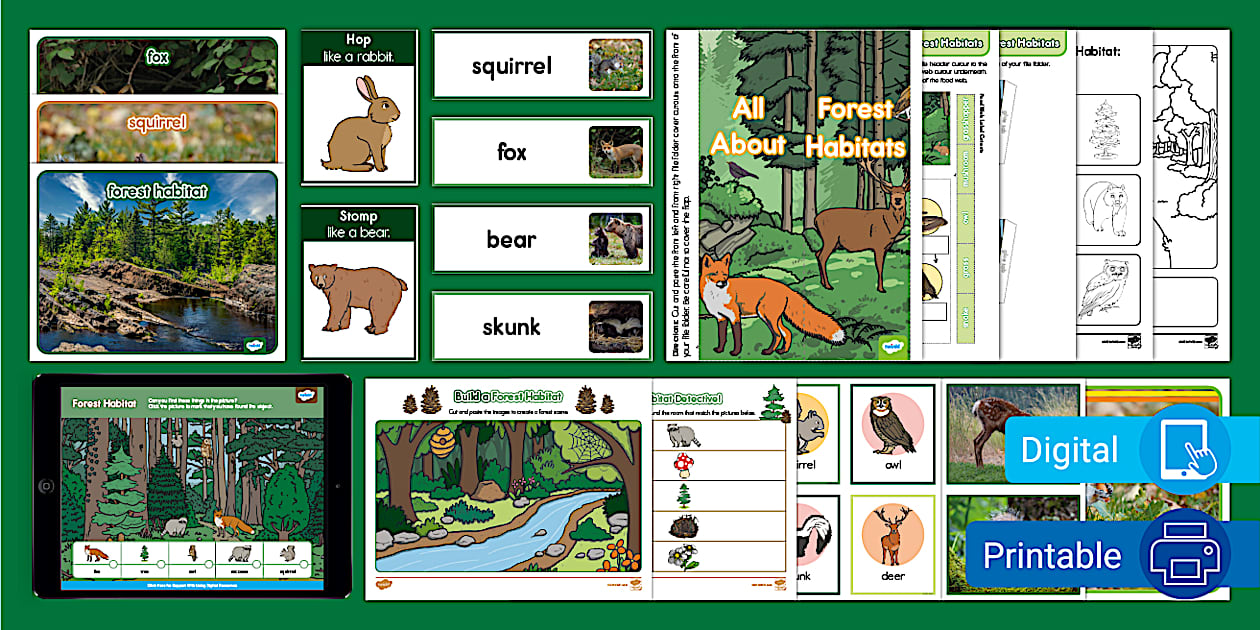 Forest Habitat Activity Pack for PK-K (teacher made)