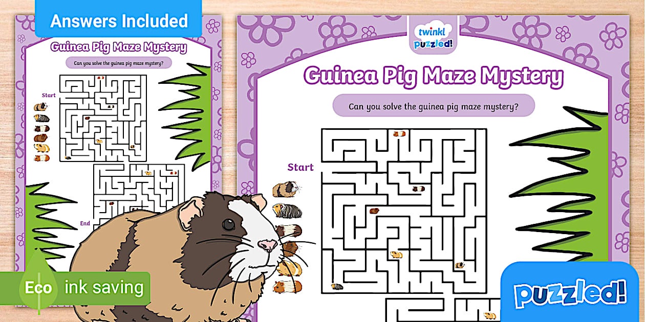 Guinea Pig Maze Mystery | Twinkl Puzzled for Kids - Twinkl
