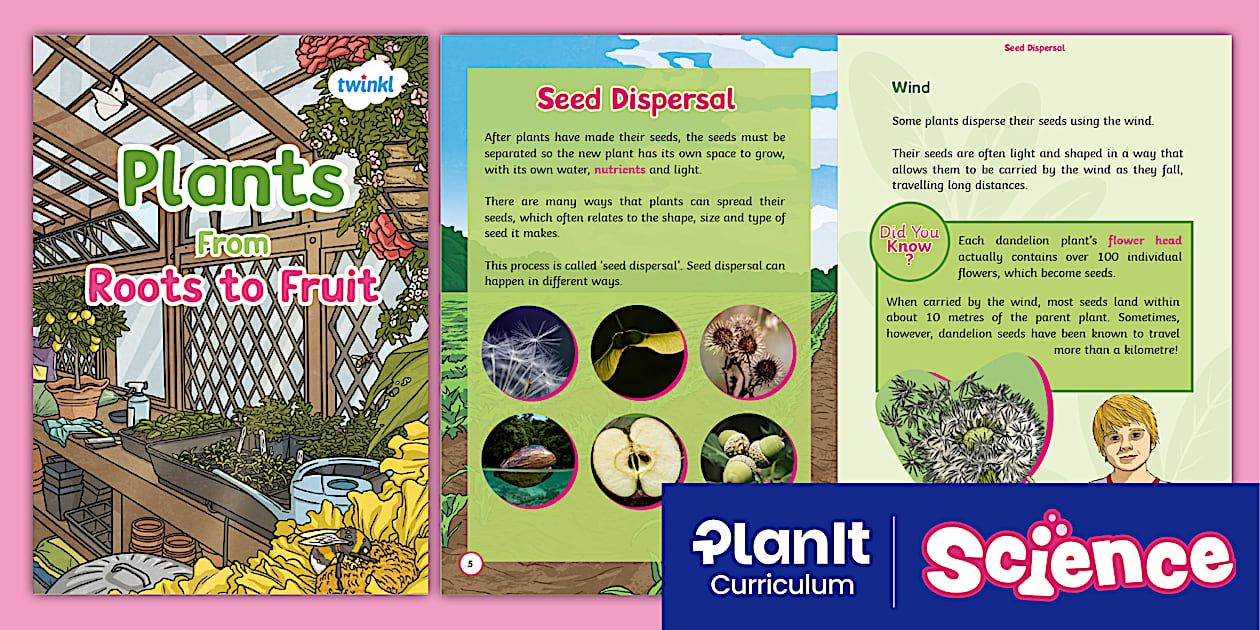Y3 Plants: Plants: From Roots to Fruit eBook - Twinkl