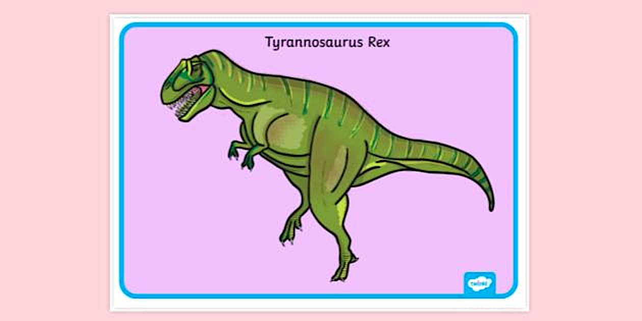 Tyrannosaurus Rex Poster | Display | Primary Resources