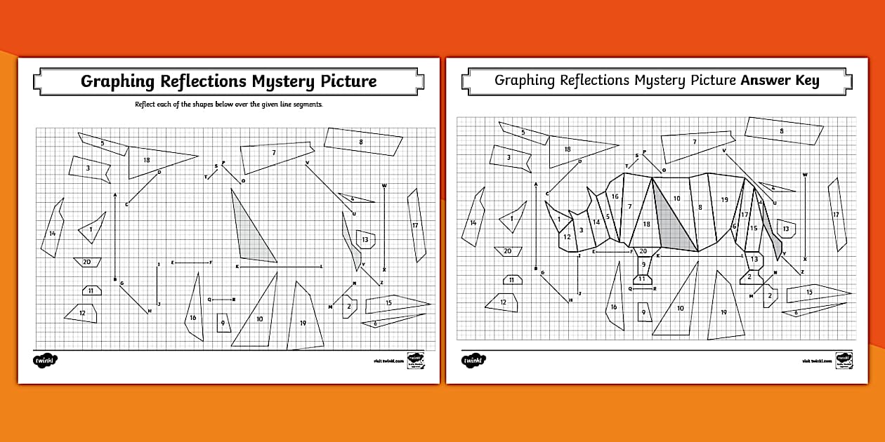 Eighth Grade Graphing Reflections Mystery Picture Rhinoceros Worksheet
