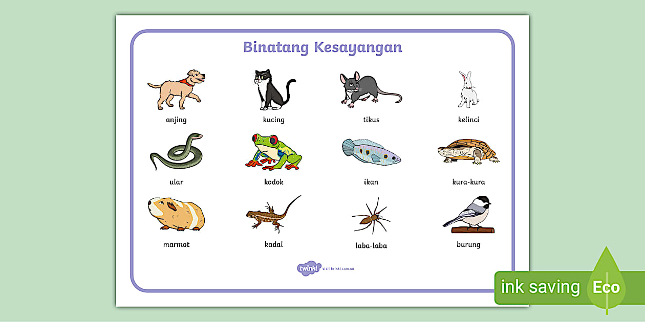 Pet Animals Word Mat Indonesian Binatang (teacher made)