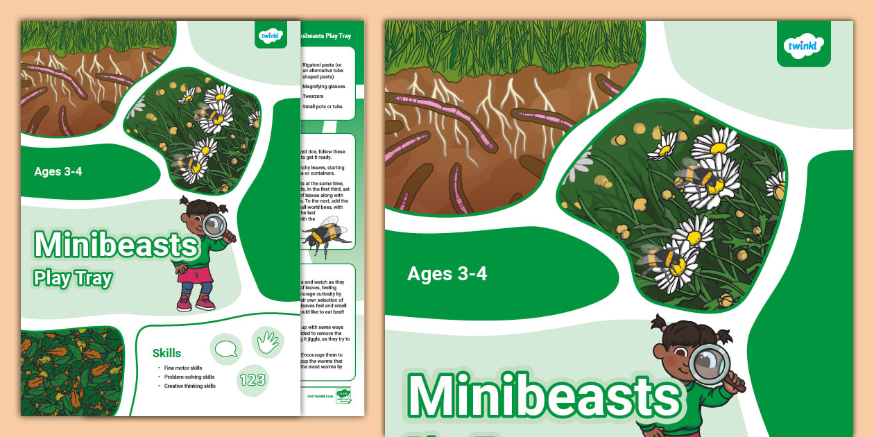 Northern Ireland EYFS Age 3-4 Play Tray: Minibeasts - Twinkl