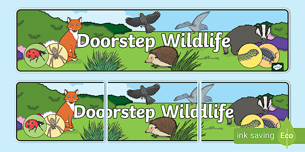 Doorstep Wildlife Display Banner (teacher made) - Twinkl