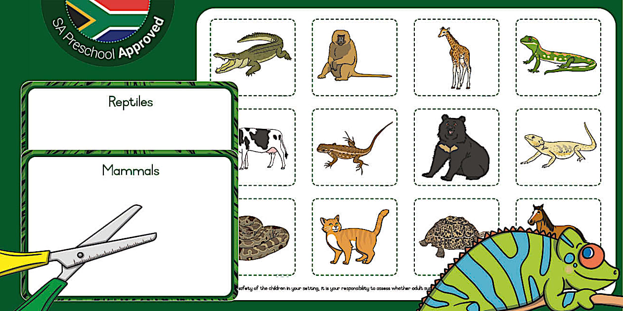Reptiles and Mammals Sorting Activity - Twinkl