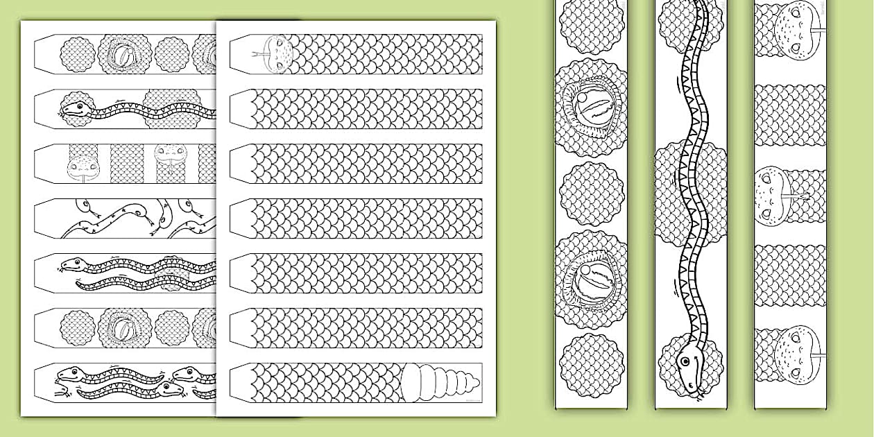 Snake Colouring Paper Chains (teacher made) - Twinkl