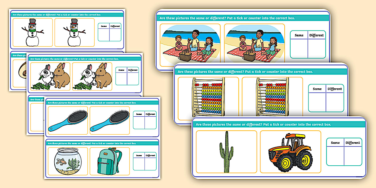 Picture Comparison Cards (Same and Different) (teacher made)