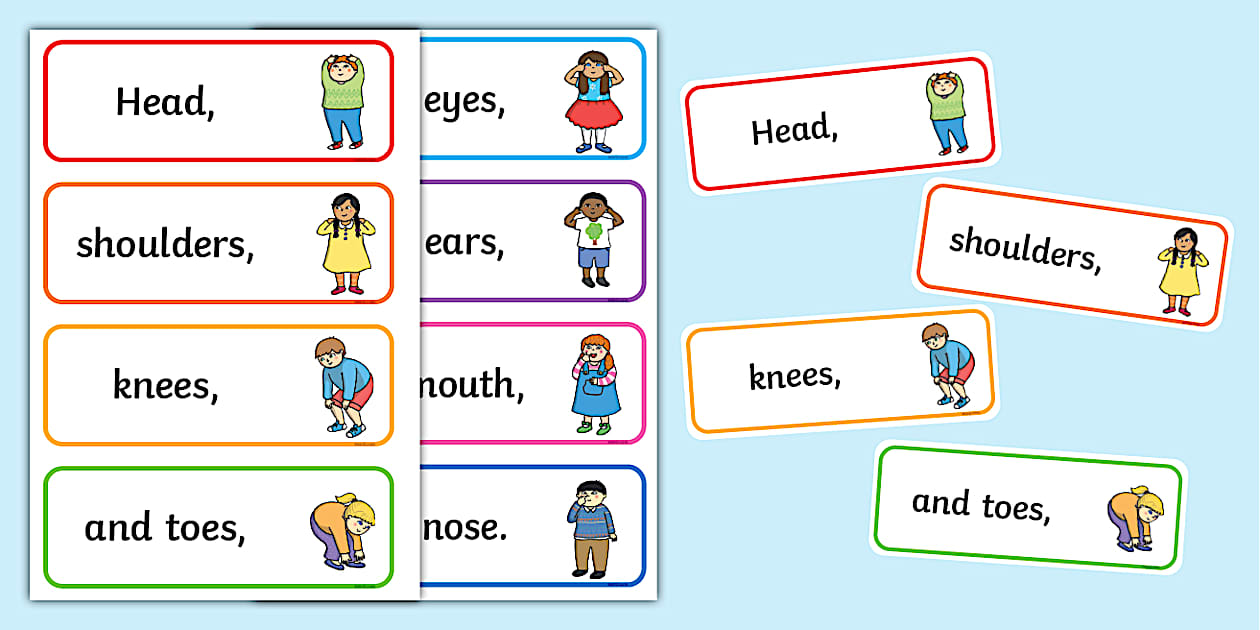 Head Shoulders Knees and Toes Word Cards