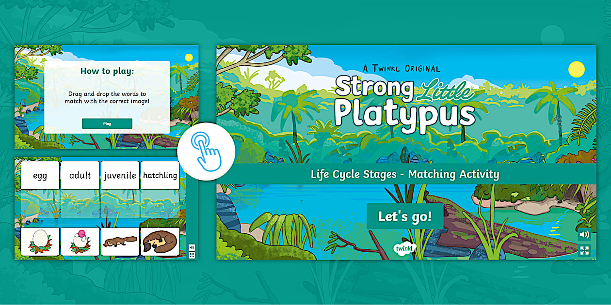 Strong Little Platypus - Match and Order the Life Cycle Stages