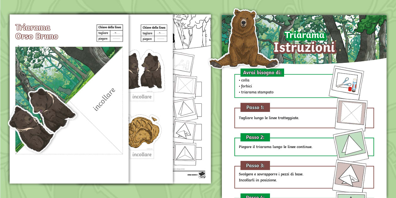 Artigianato triarama: Orso Bruno (Hecho por educadores)