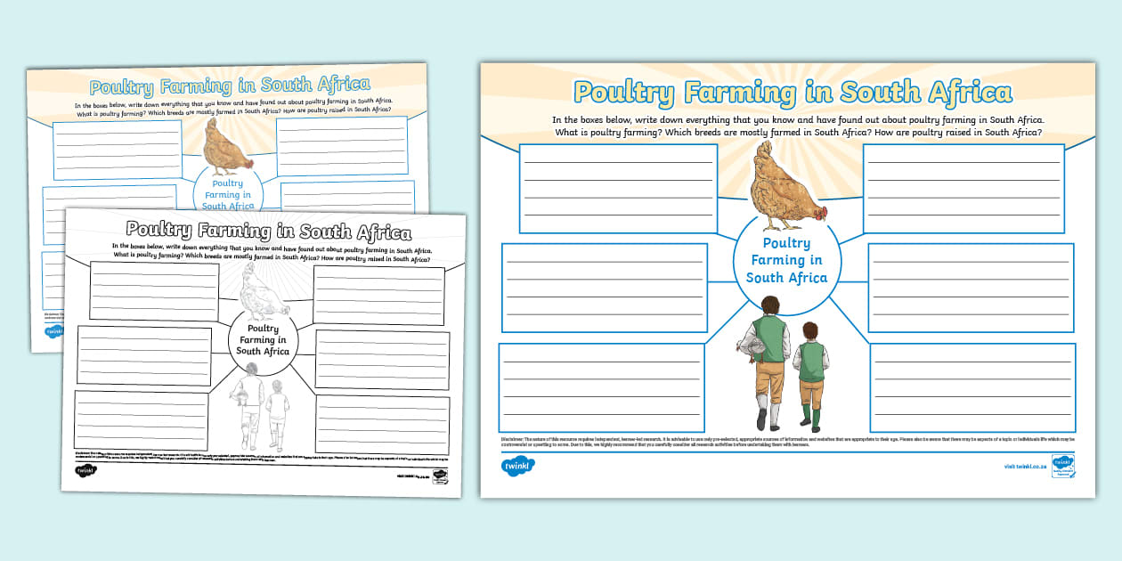 Poultry Farming in South Africa Mind Map (Teacher-Made)