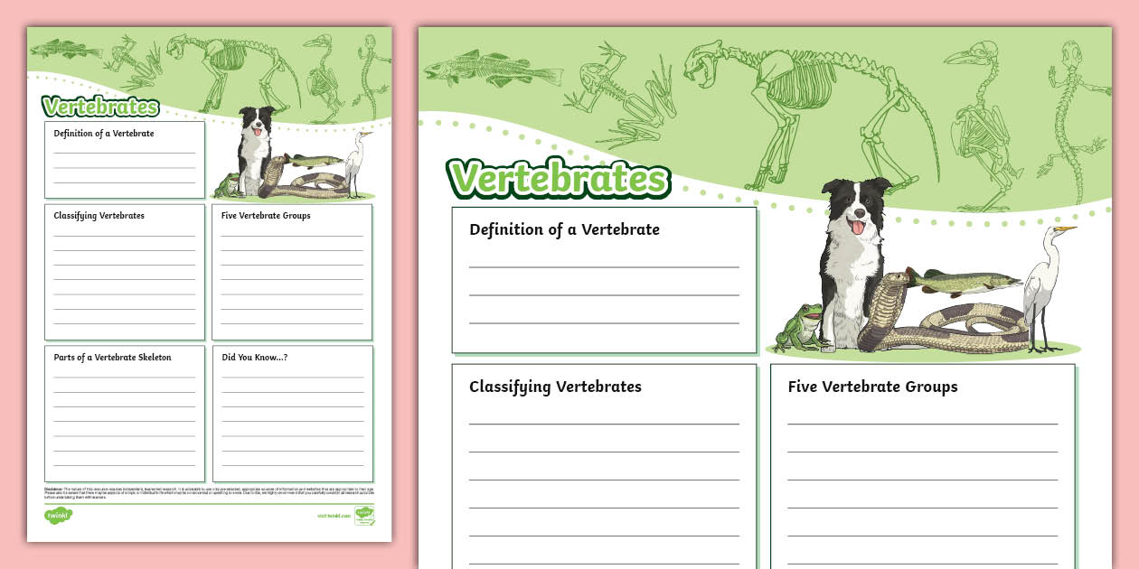 Vertebrates Fact File Template (professor feito) - Twinkl