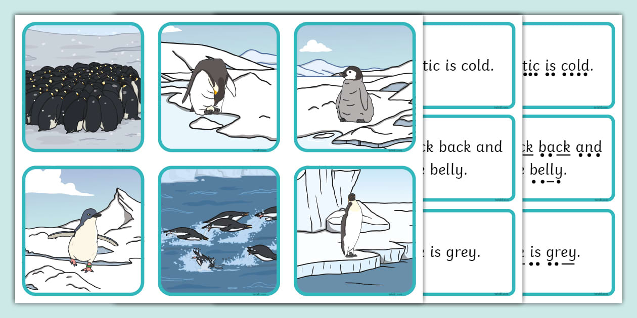 Penguin Simple Sentence Matching Activity - Twinkl