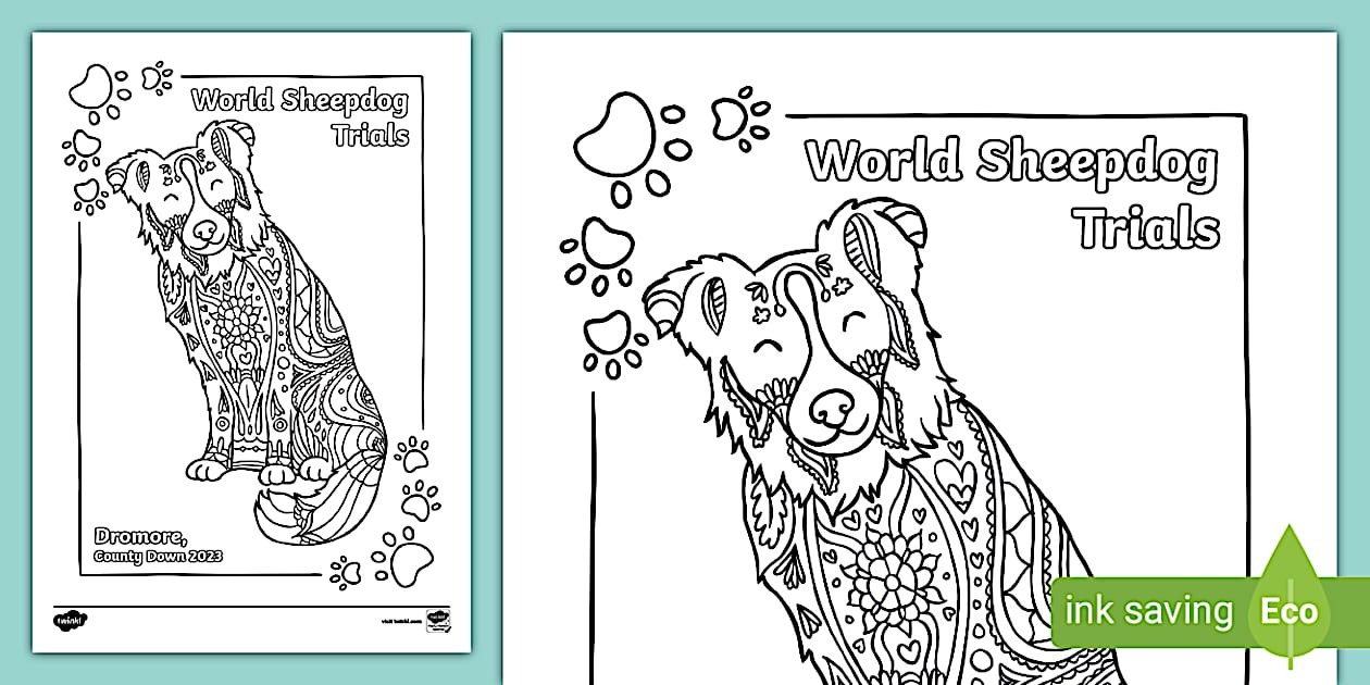 World Sheepdog Trials Dromore Colouring Page KS1 - Twinkl