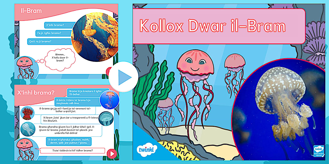 Preżentazzjoni: Kollox Dwar il-Bram (teacher made) - Twinkl