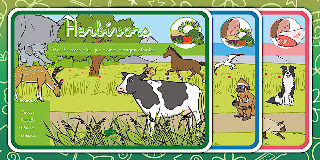 Pòsters: L'alimentació dels éssers vius - Català