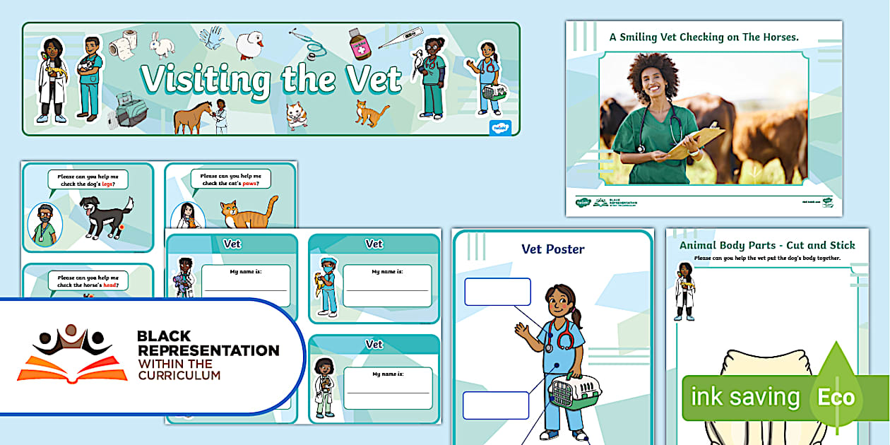 EYFS People Who Help Us - Diverse Vets Role Play Pack