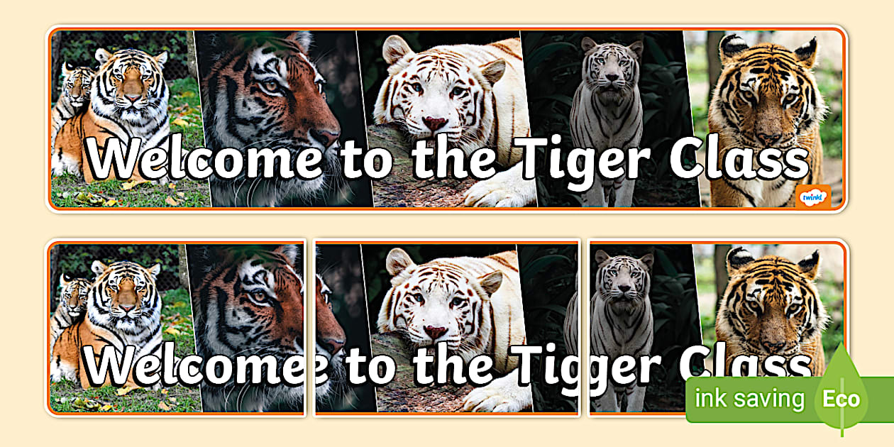 Tiger Class Photo Display Banner (Teacher-Made) - Twinkl