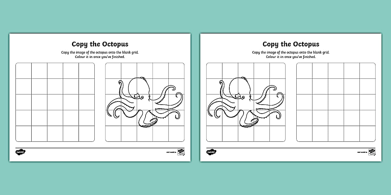 Copy the Octopus Worksheet (Teacher-Made) - Twinkl