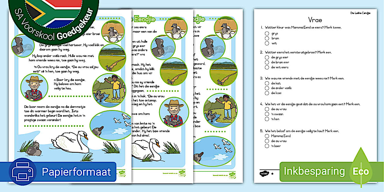 Die Lelike Eendjie Begripslees en Begripstoets - Twinkl
