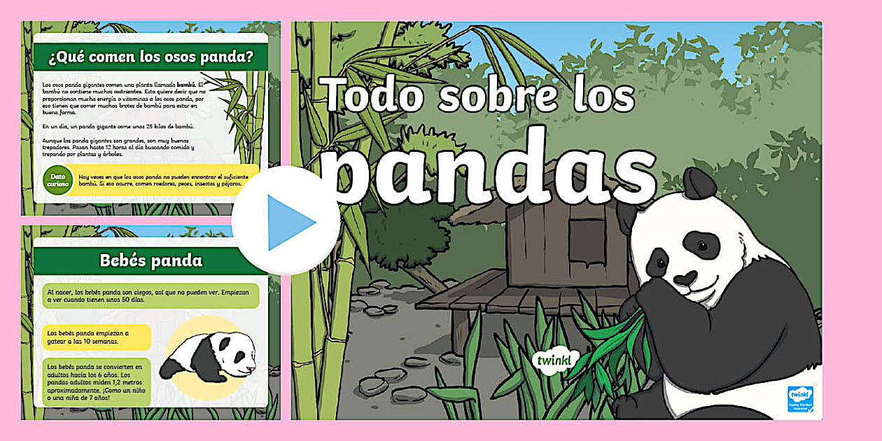 Presentación: Todo sobre los osos panda - Twinkl