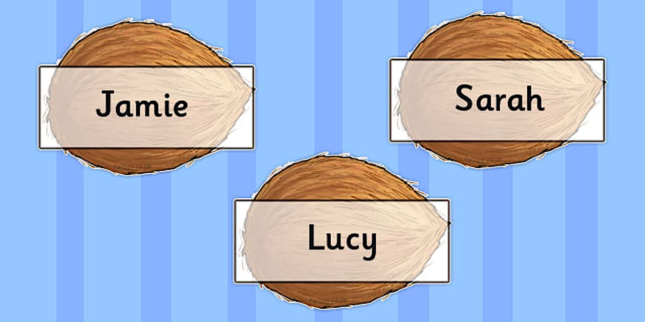 Coconut Themed Self-Registration - Twinkl