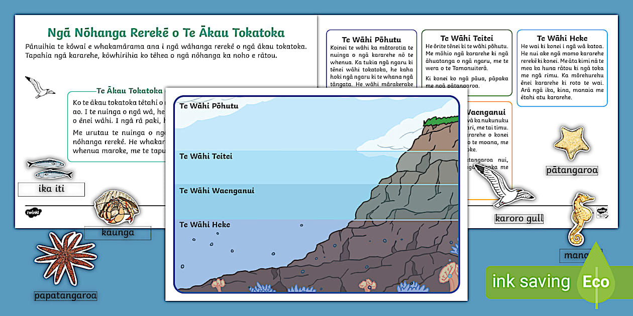 Ngā Nōhanga o te Ākau Tokatoka - He Meka