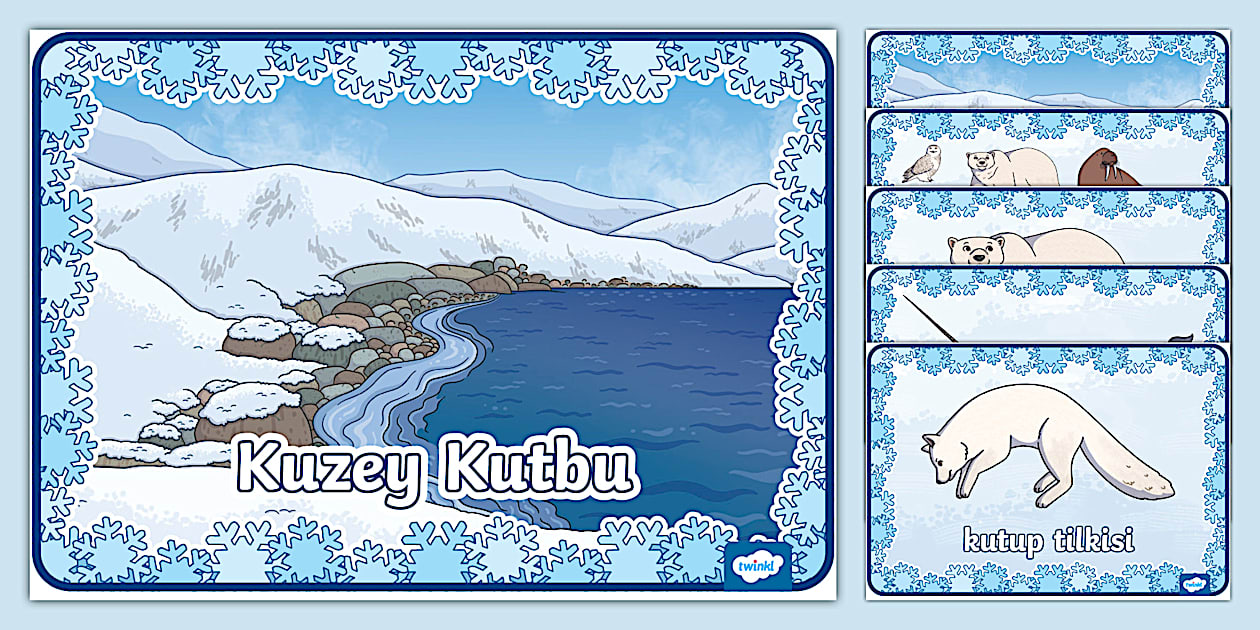 Kuzey Kutbu | Posterler (Teacher-Made) - Twinkl