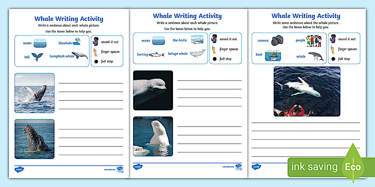 Whale Early Writing Activity - Twinkl - KS1 (teacher made)