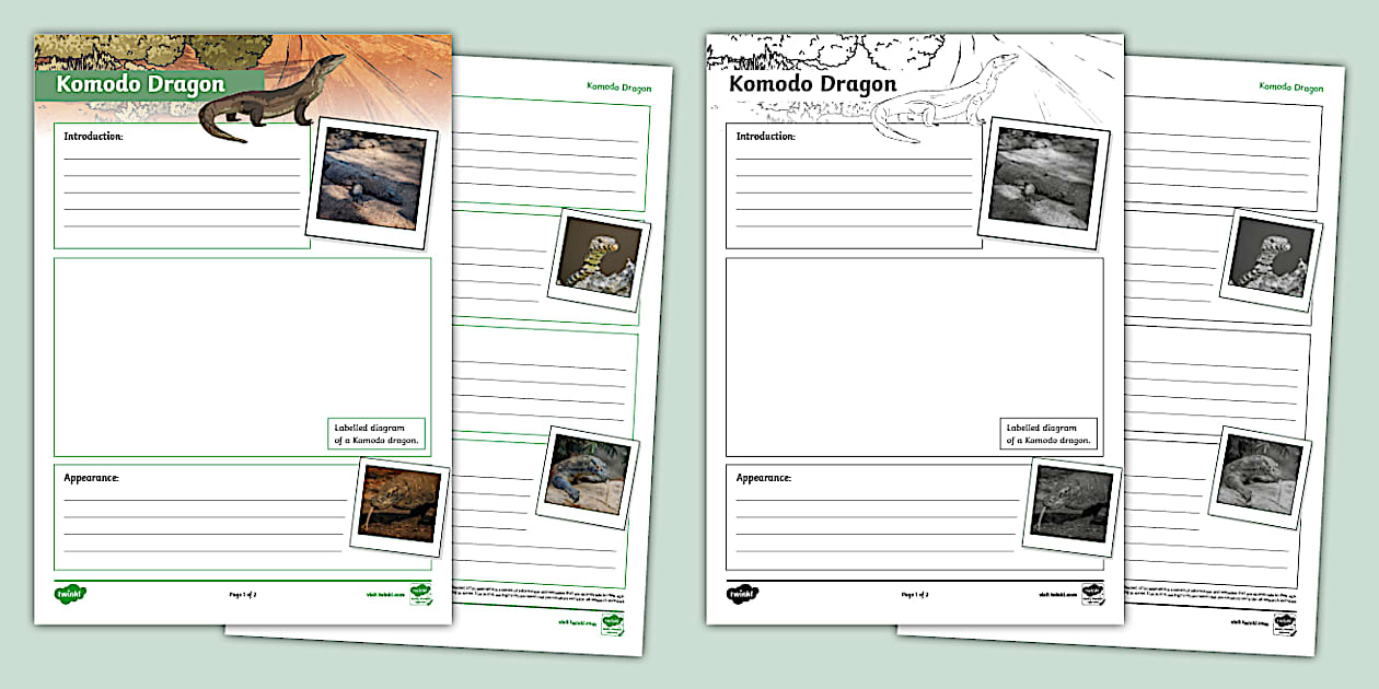 Komodo Dragon Non Chronological Report Template Twinkl