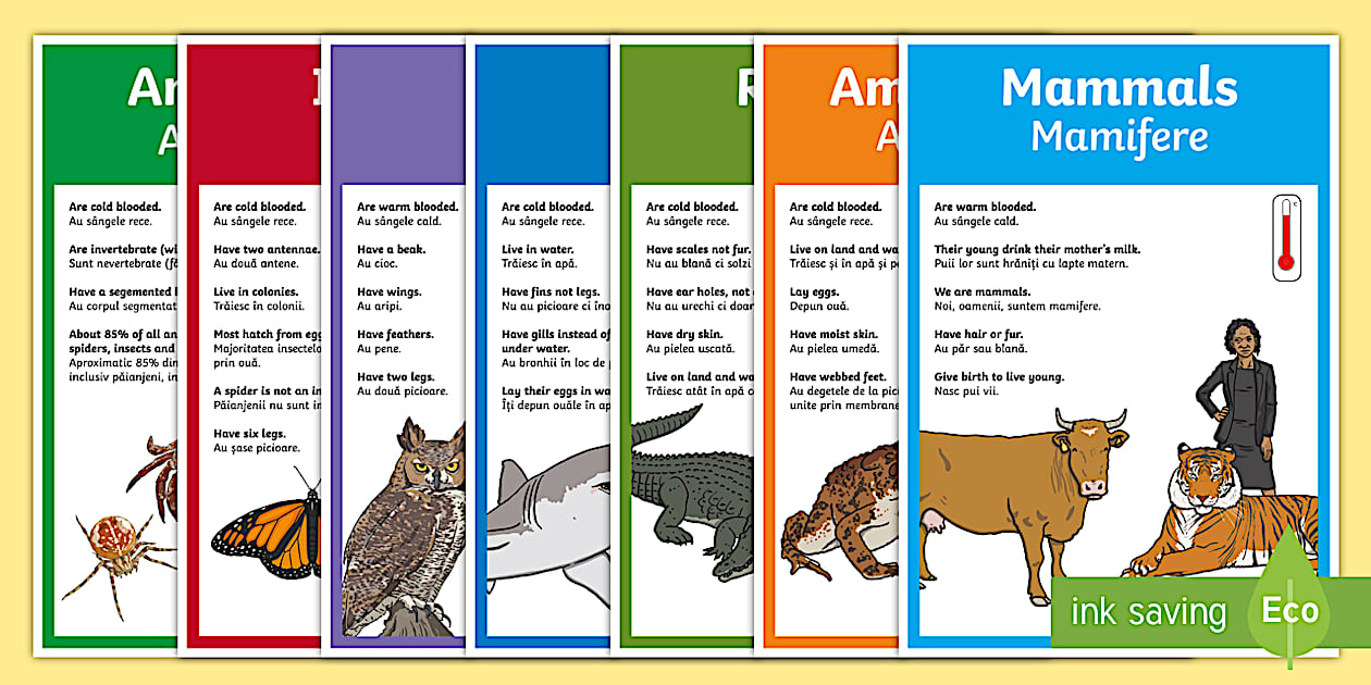 Black and White Animal Groups Display Posters English/Romanian