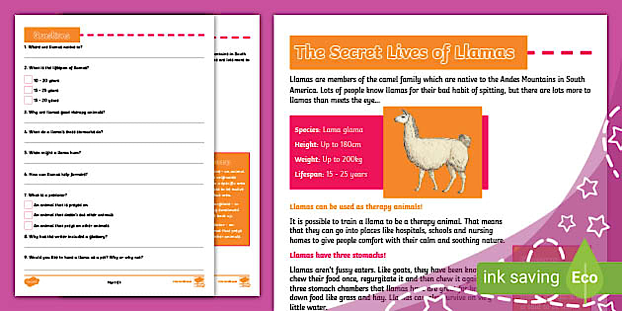 Year 3 Non-Fiction Reading Comprehension Text | Parents