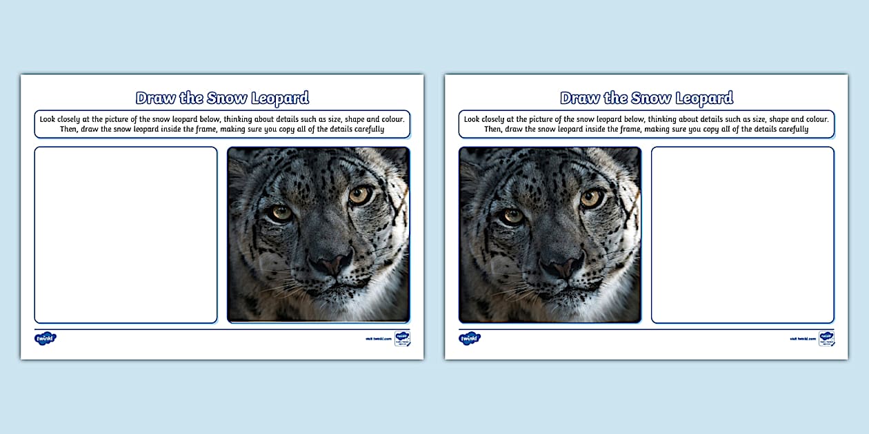 Draw the Snow Leopard Worksheet (teacher made) - Twinkl