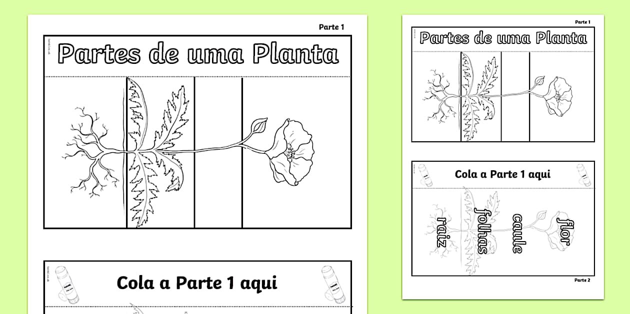 Partes de uma Planta - Atividade Dobrável - Twinkl