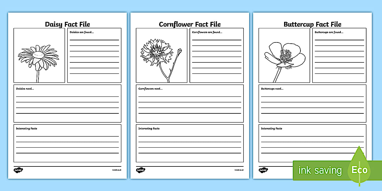Flower Fact File Sheets for Children - Primary Resources