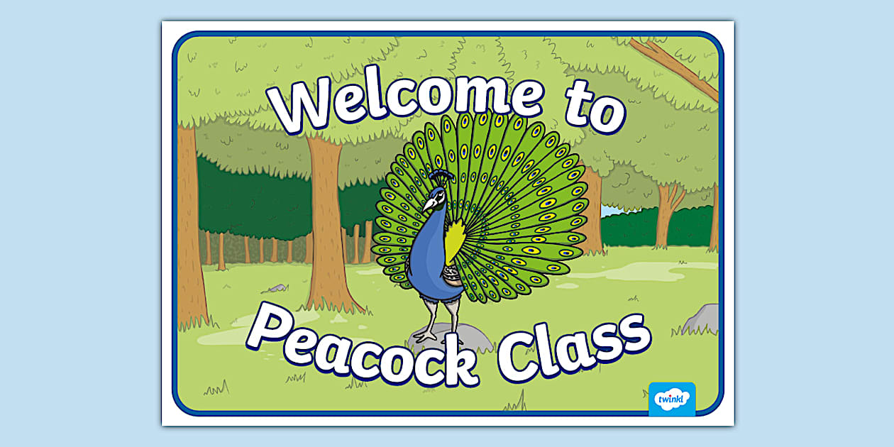 Peacock Class Display Sign A4 Display Poster - - Twinkl