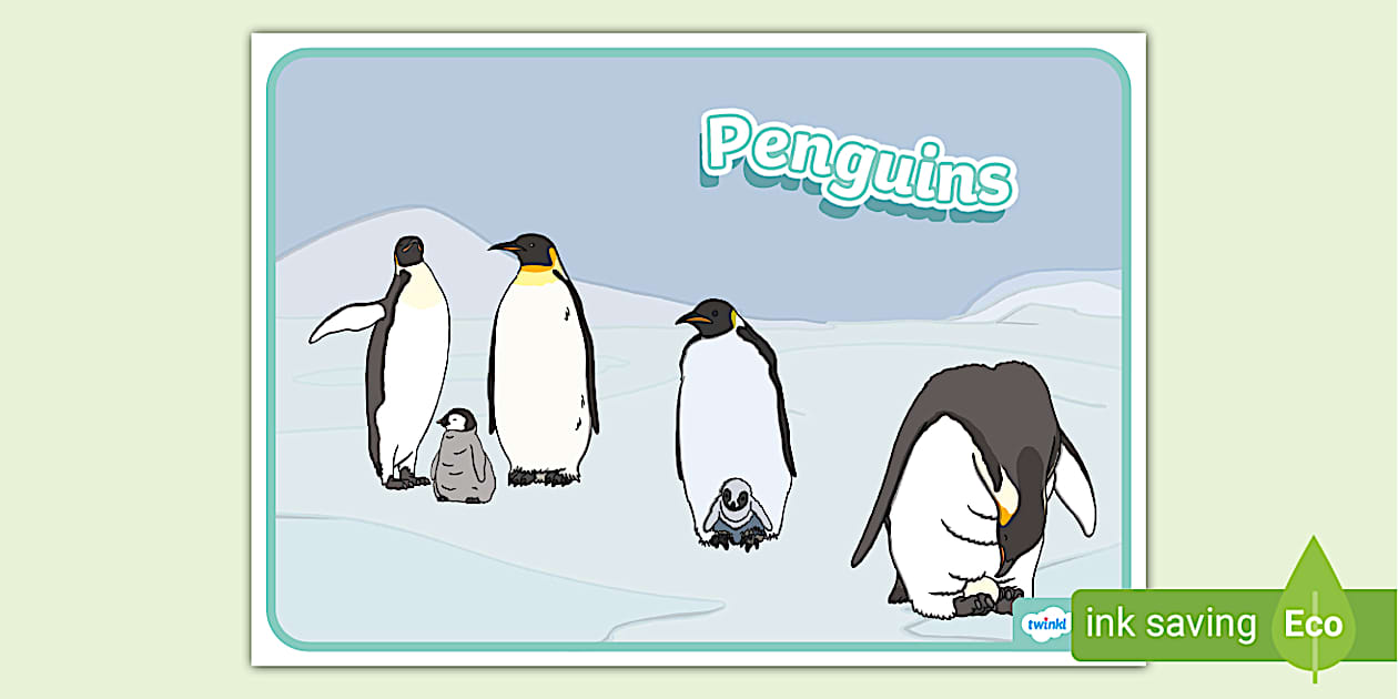 Penguins Display Poster (teacher made) - Twinkl