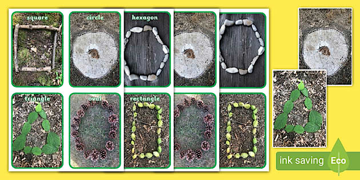 👉 Nature-Themed 2D Shape Flashcards (teacher made)