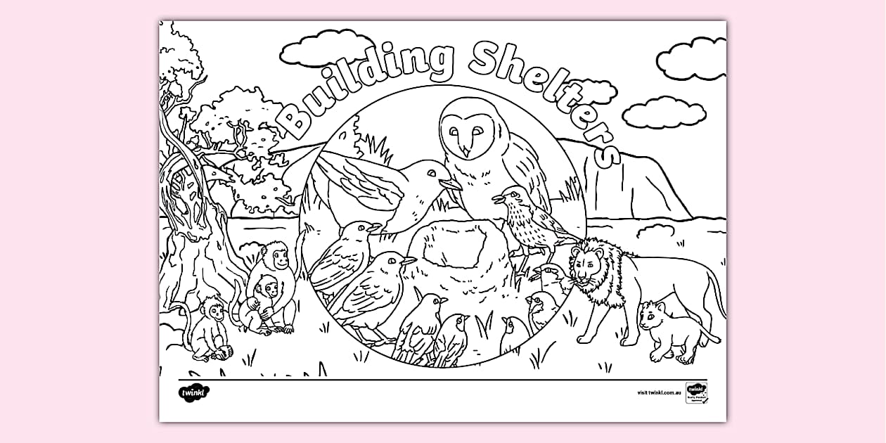STEM IU Yr 1 Building Shelters Title Colouring Page - Twinkl