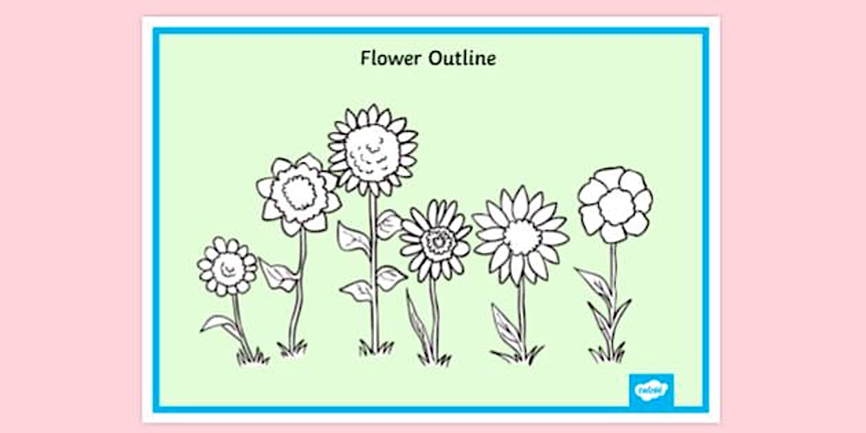 Flower Outline Display Poster | Primary Resources - Twinkl