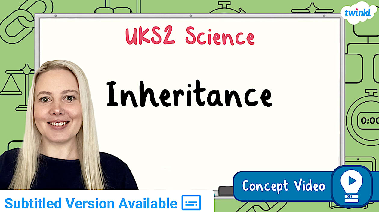 Inheritance | UKS2 Science Concept Video (teacher made)
