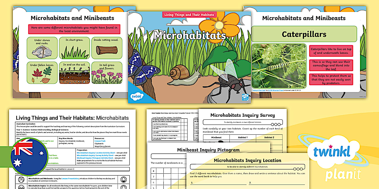 Year 1 Science Living Things and Their Habitats Lesson 3
