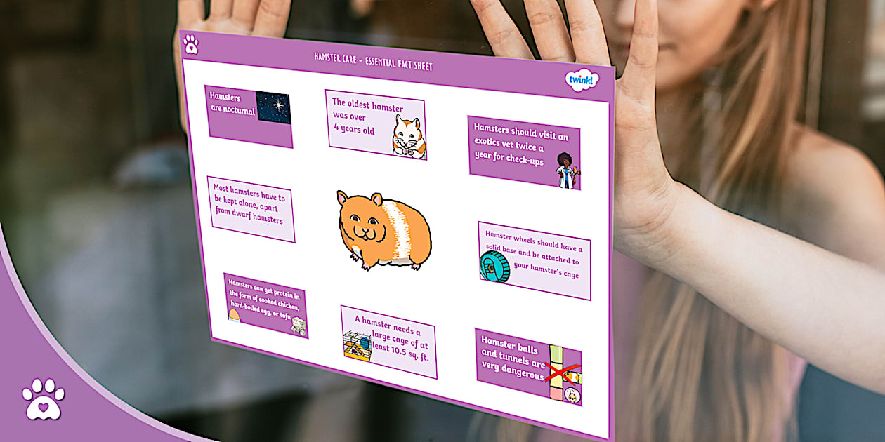 Hamster Care - Essential Fact Sheet - Hamsters - Twinkl Pets
