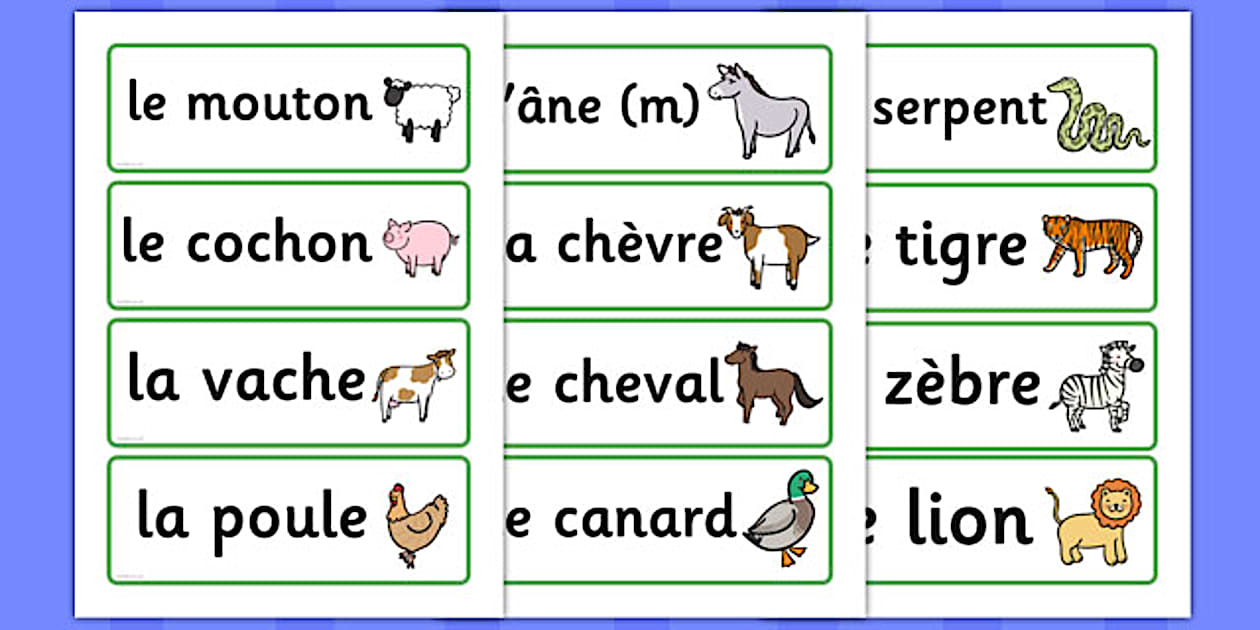 French Animal Word Cards (teacher made) - Twinkl