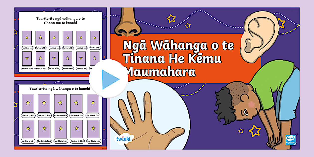 Ngā Wāhanga o te Tinana - He Kēmu Maumahara - Twinkl
