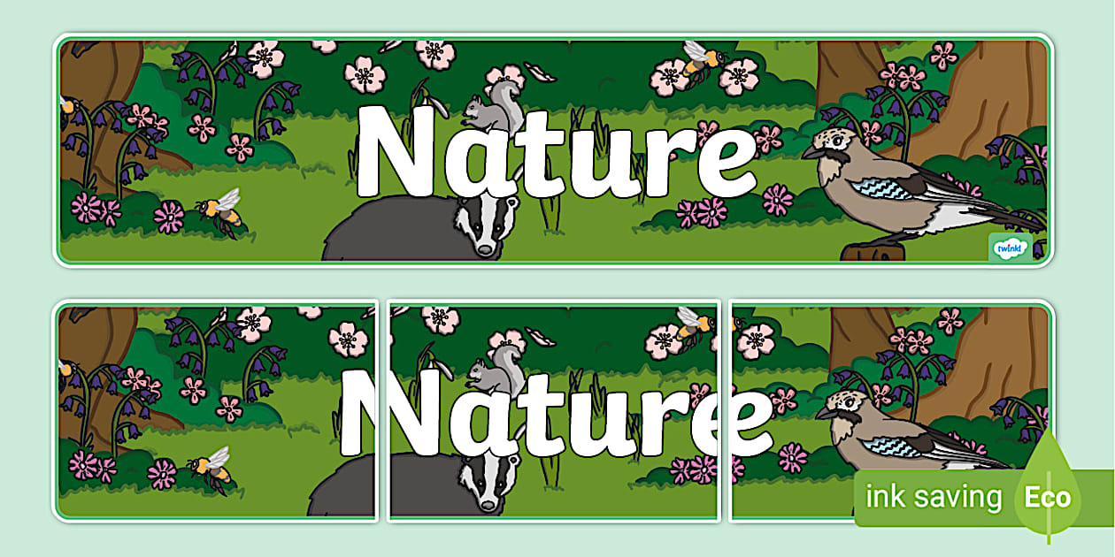 Nature Display Banner (teacher made) - Twinkl