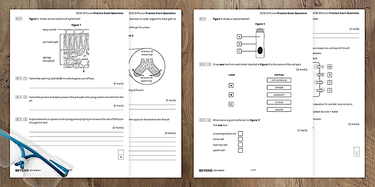 GCSE Diffusion Practice Exam Questions | AQA | Beyond