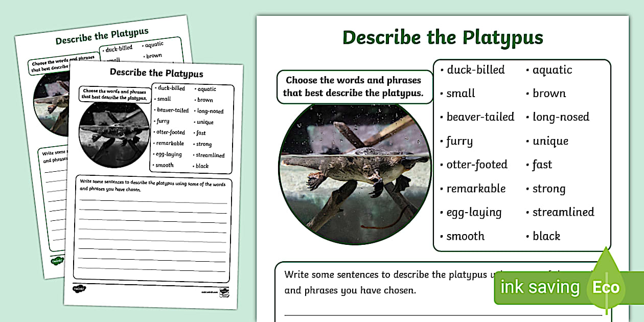 Describe a Platypus Worksheet (teacher made) - Twinkl