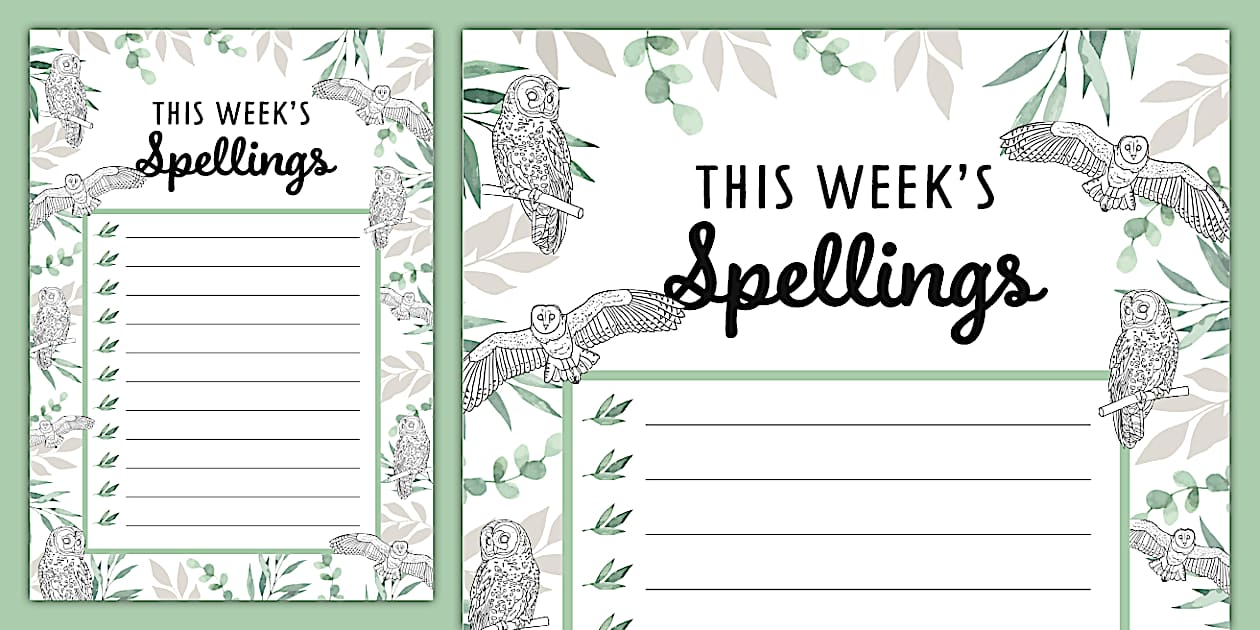 Muted Botanical Themed Owl Weekly Spellings Worksheet