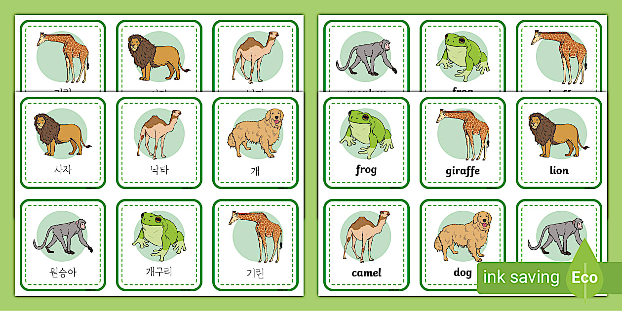 동물원에 사는 동물들 매칭 게임 Zoo Animals Matching Cards